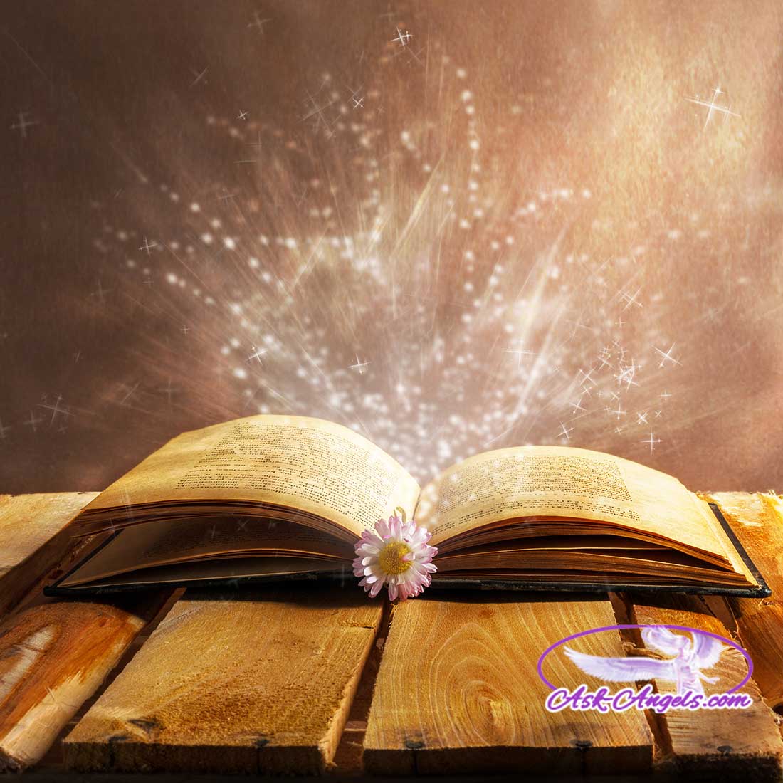 Reading the Akashic Records Reading the Akashic Records
